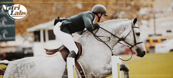 EquusVitalis Онлайн магазин - Вашият магазин за фураж и грижа за конете