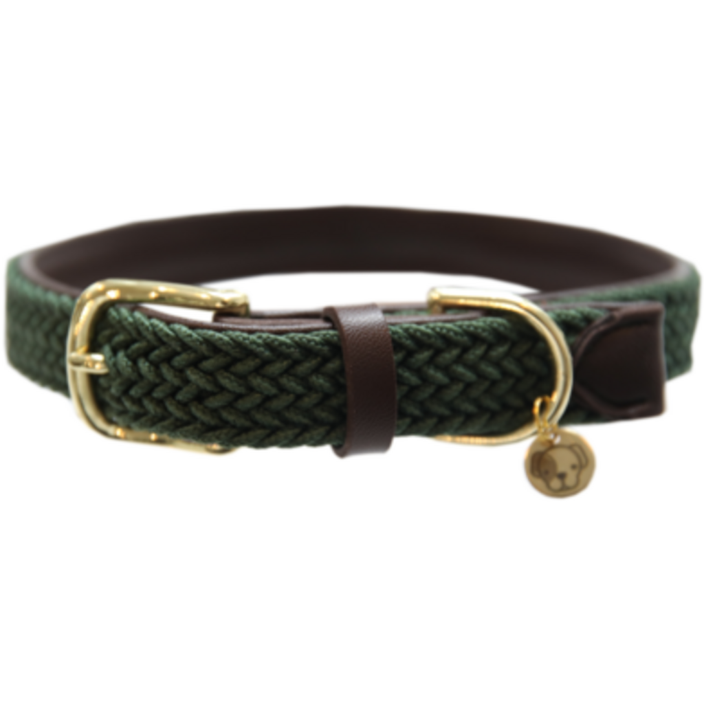 Kentucky Dogwear Collier Nylon Tress Vert Olive Boutique Equus Vitalis kentucky-dogwear-collier-nylon-tress-vert-olive-boutique-equus-vitalis