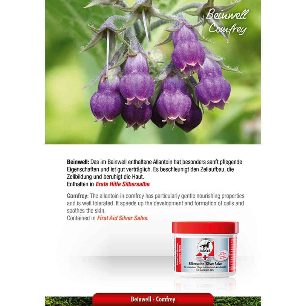 leovet Silver Ointment for Wound Care, 150 ml - EquusVitalis Onlineshop