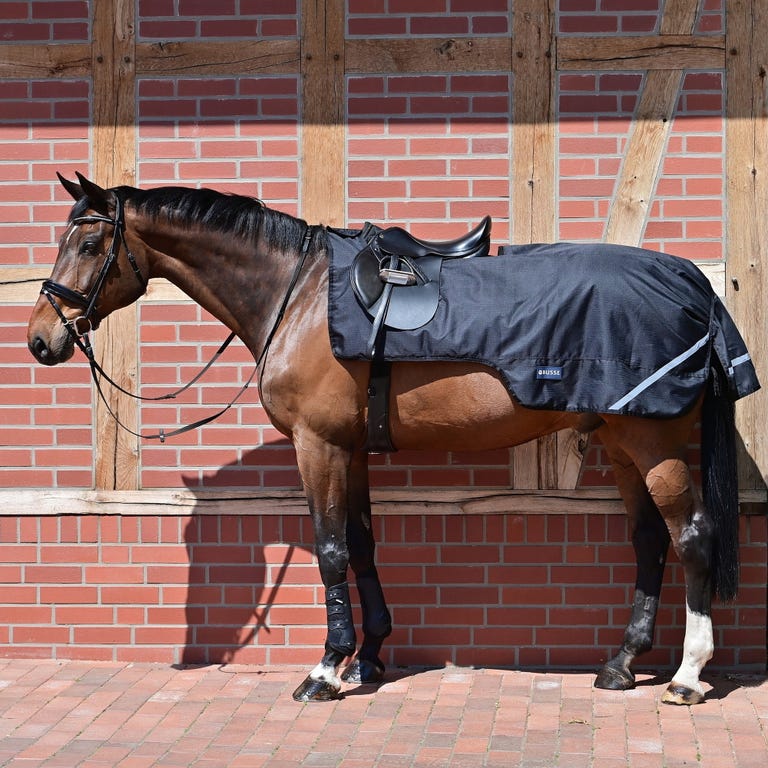 BUSSE RAIN TRAINER 100 Exercise Sheet, Black - EquusVitalis Onlineshop