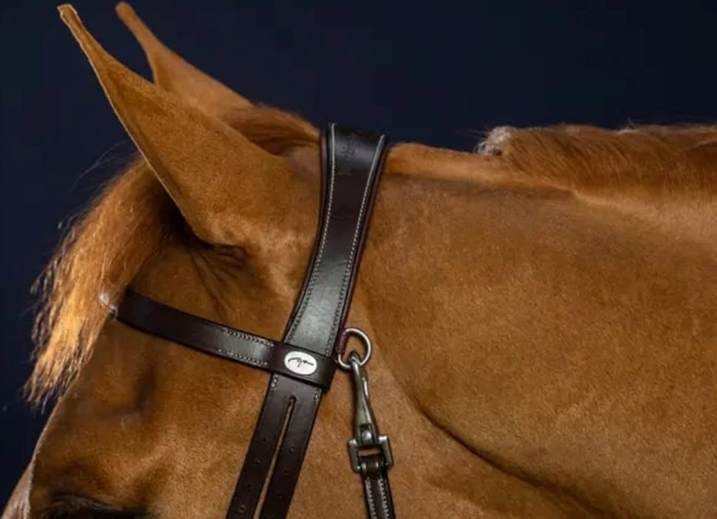 Dy'on Working by Dyon - Flat Leather Bridle with Snap Hooks, Full ...