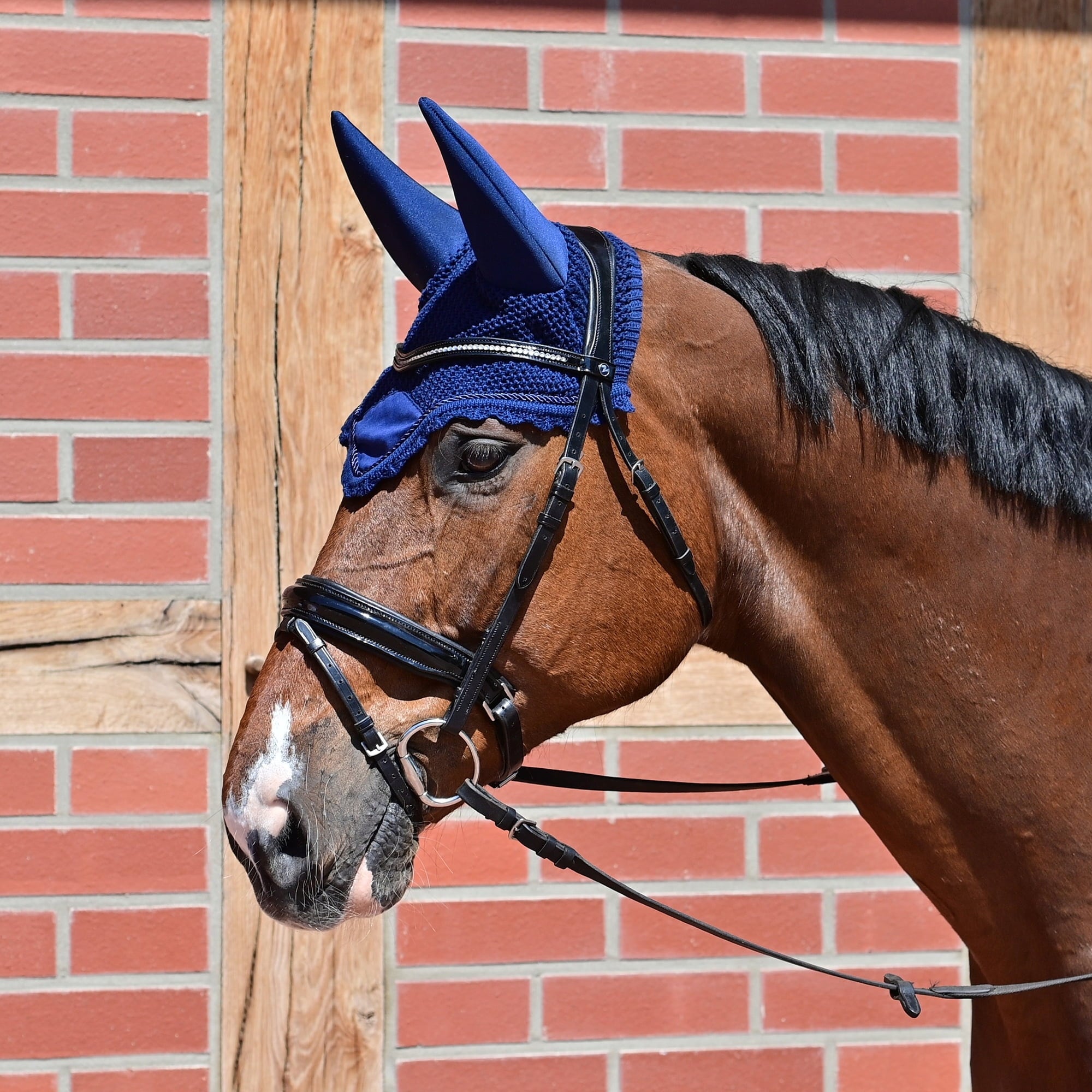1 reviews for www.equusvitalis.co.uk can be seen online - CALM II Fly Hood, WB, BUSSE - EquusVitalis