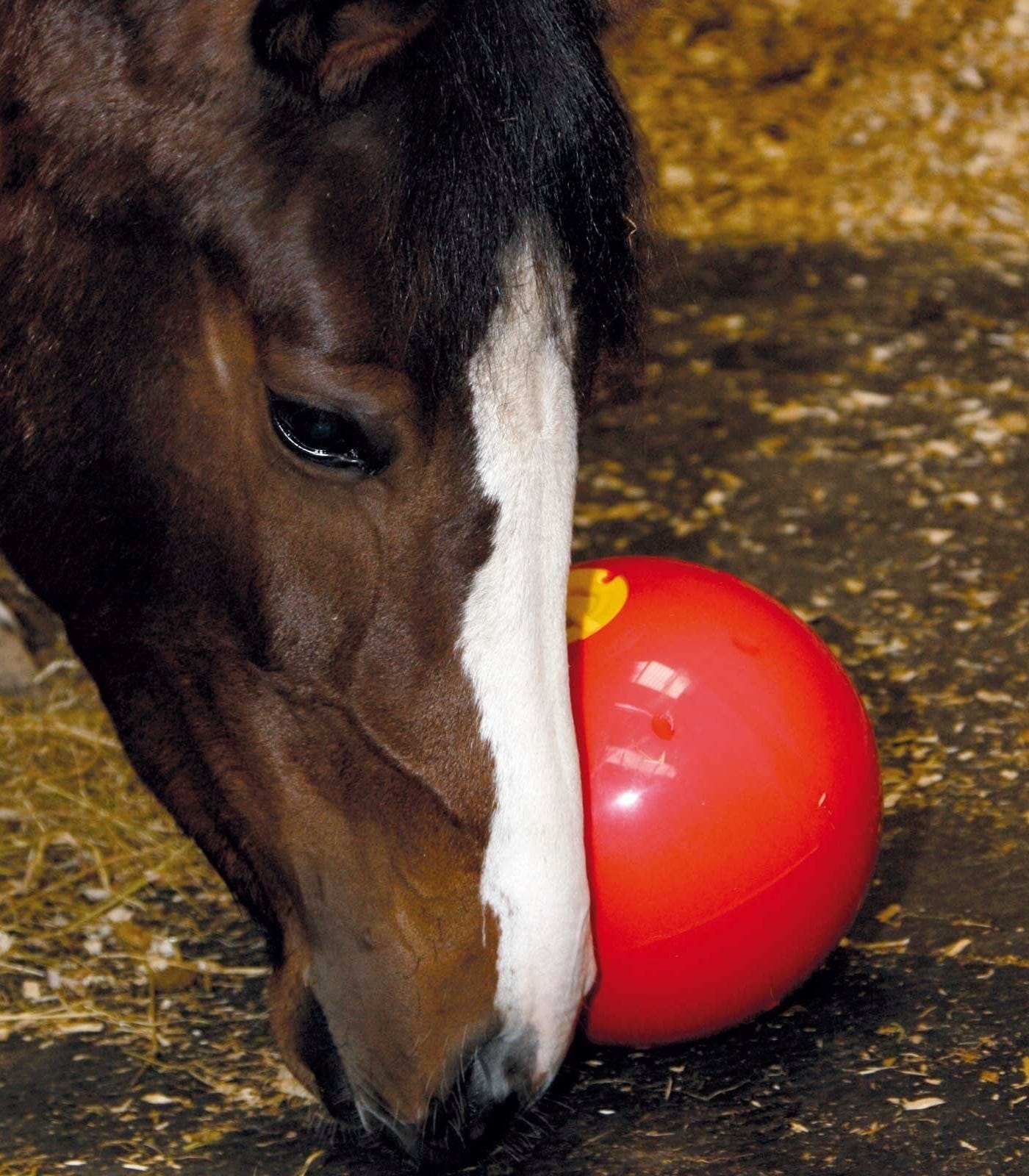 Likit Snak-A-Ball - Boutique Equus Vitalis